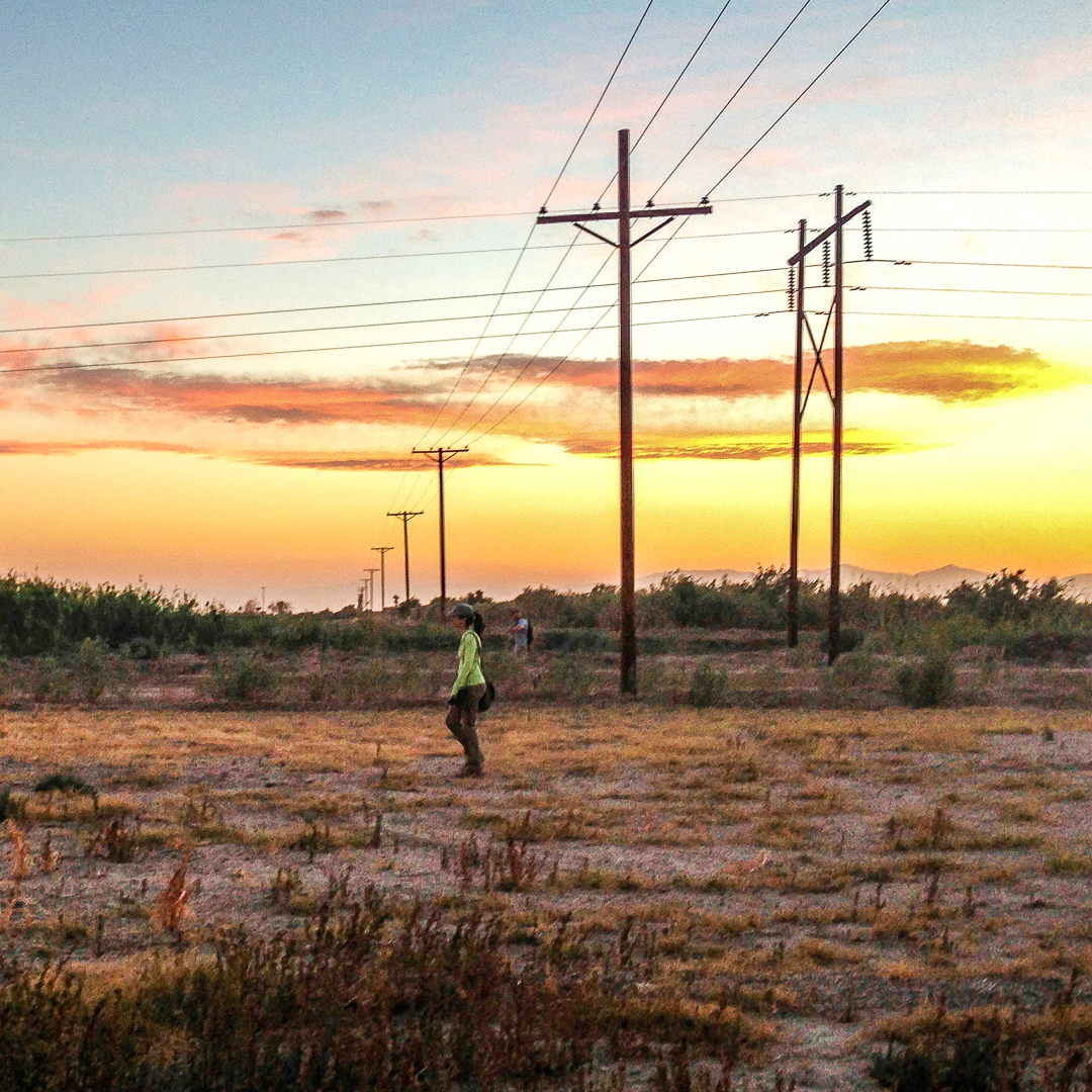 Sunrise Powerlink – Chambers Group
